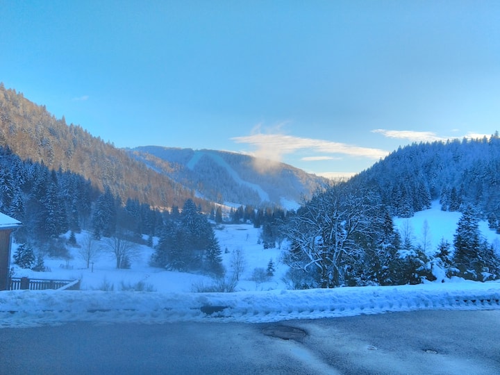 App In Een Prachtige Ski, Fiets En Wandel Omgeving - La Bresse