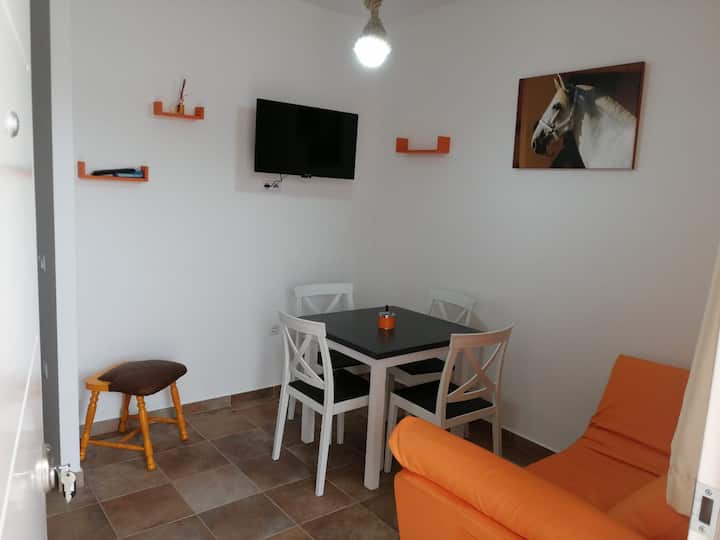 Apartamento Rural 3*** La Posada Hipica. - Navalmoral de la Mata