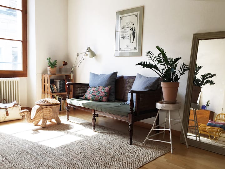 Charming Spacious Flat In Geneva's Old Town - Ginebra