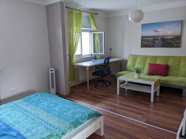 Speyer-altstadt: Geräumiges, Modernes Zimmer - Hockenheim