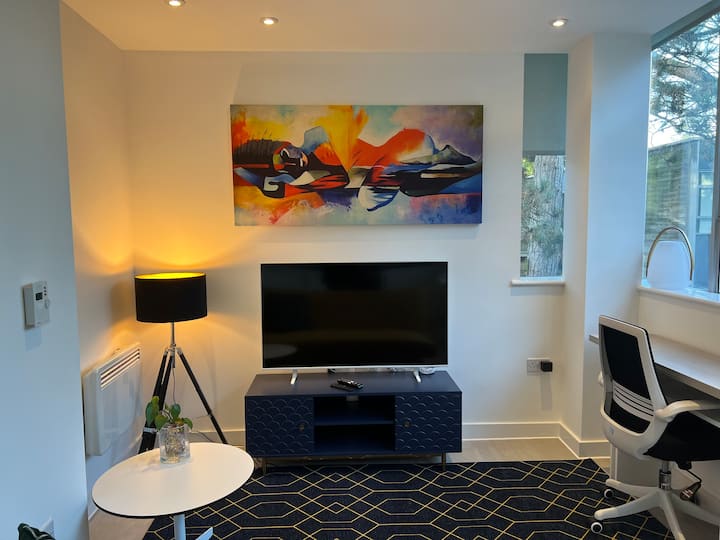 Modern 1 Bedroom Flat In The Centre Of St Albans - Harpenden