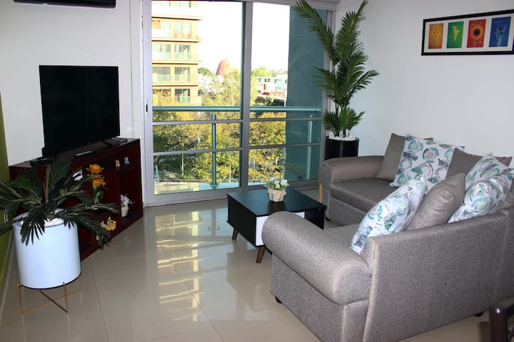 * Apartment Gdl Chapultepec * A/c, Wifi, Parking - Guadalajara