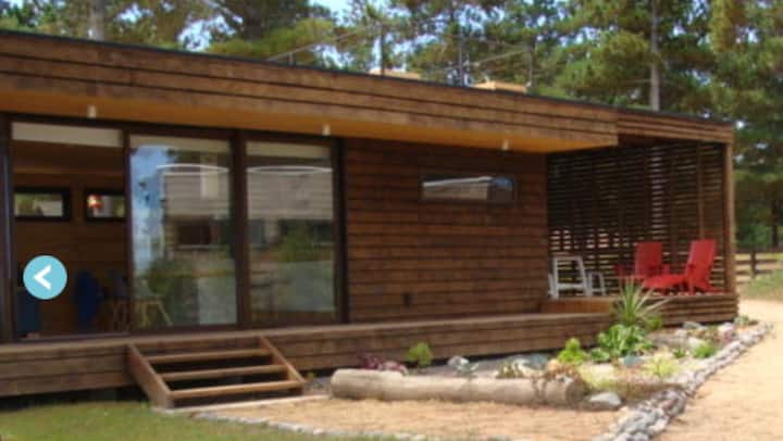 Cabaña En Pichilemu, A 2 Km De Punta De Lobos. - Pichilemu