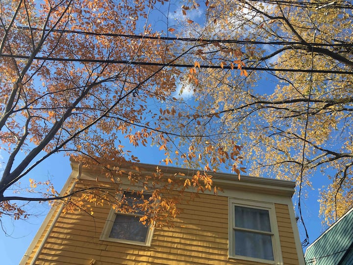Light-filled 2nd Floor Flat - Halifax