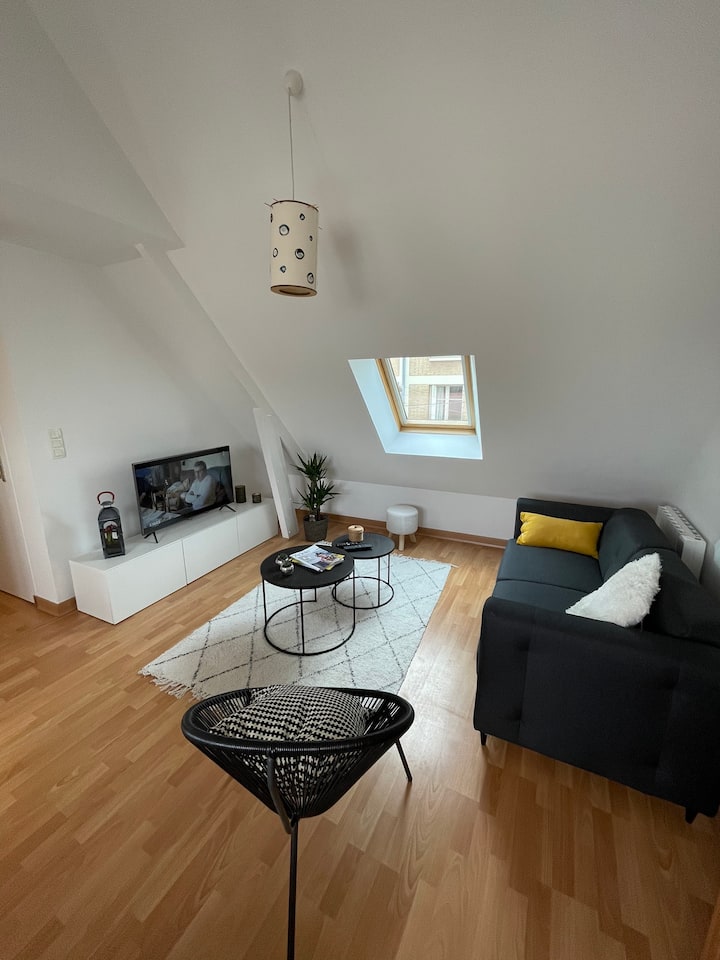 Grand T2 Moderne Et Chaleureux - Proche Gare - ibis budget Rennes Route de Lorient