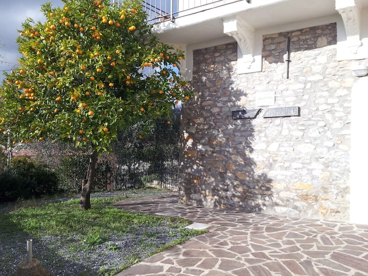 Diano Entroterra Alloggio "Ulivo" - Diano Marina