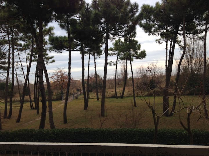 Apartment First Row To The Sea - Veneza