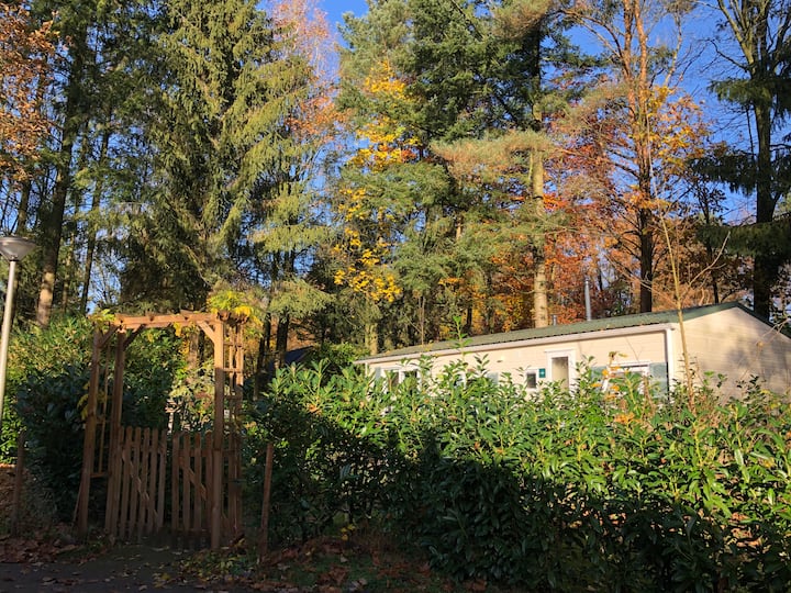 Chalet Met Riante Tuin Aan De Rand Van De Veluwe - Paesi Bassi