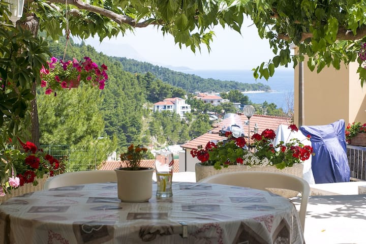 Apartman Snježana - Brela