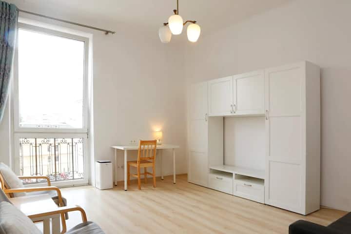Roomy Apartment In The Center Of Warsaw - Varsovie