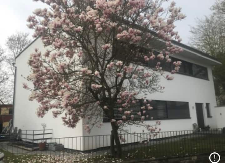 Moderne Luxusvilla - Nürnberg