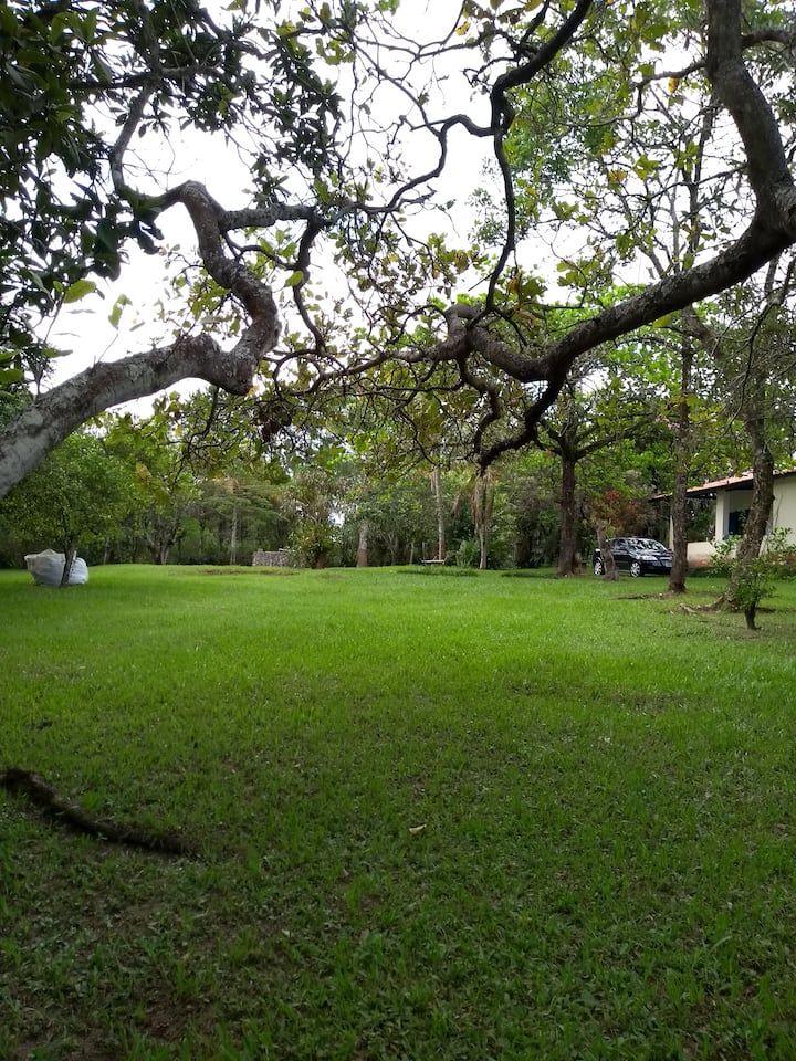 Casa Em Sitio - Permitido Animais - São Pedro