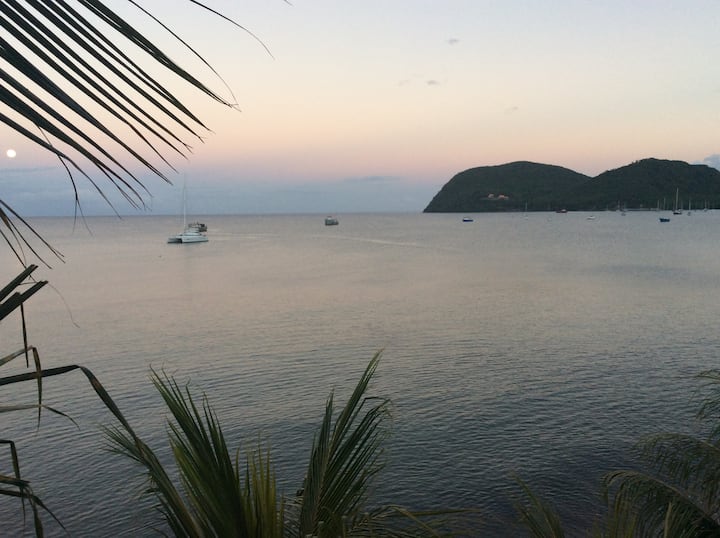 Douglascourt 12 - Dominica