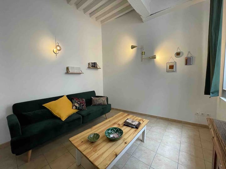 Appartement En Vieille Ville - Le Puy-en-Velay
