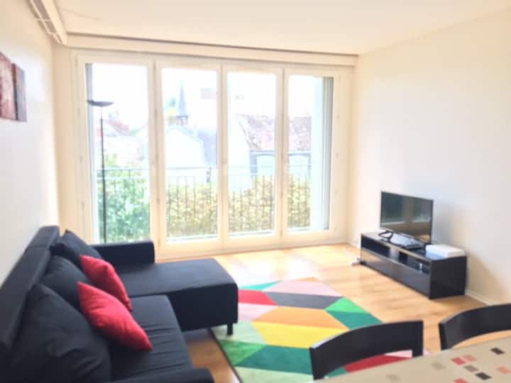 Charming, City Center Apartment - Fontainebleau