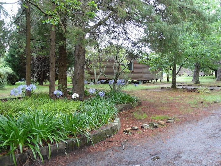 Madisons Mountain Retreat Cedar Wood Cabin - Kurrajong
