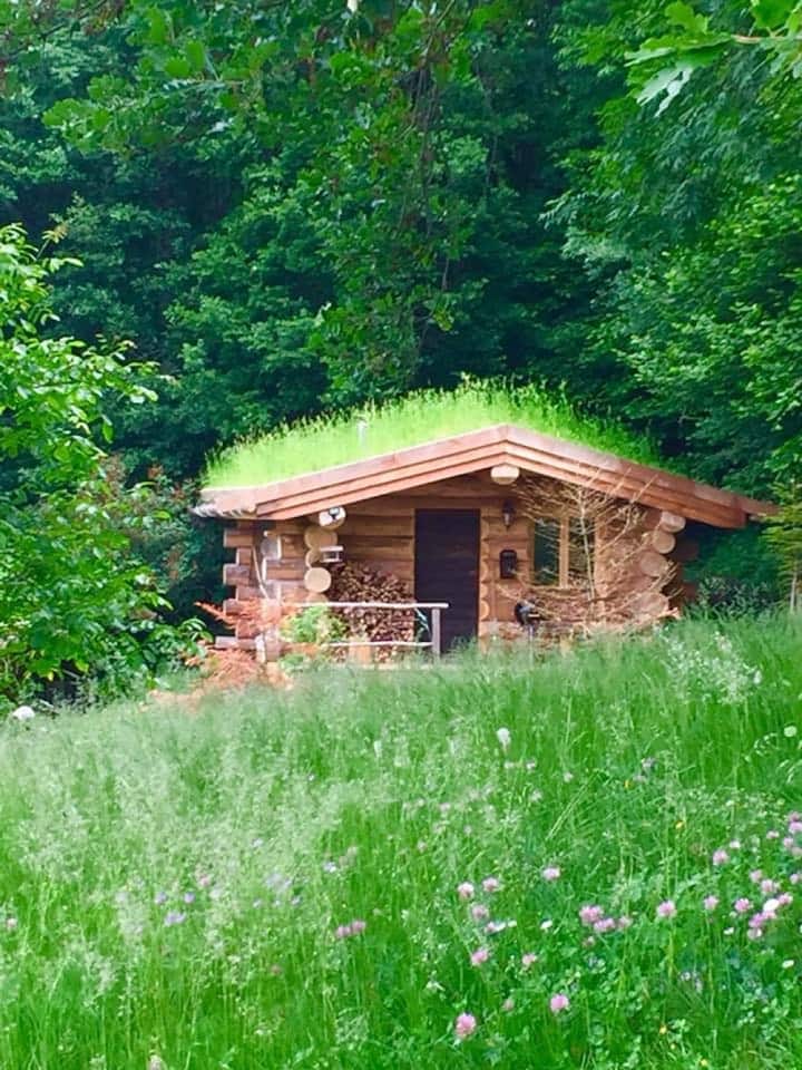 Cabane En Rondins Les Convers - Saint-Julien-en-Genevois