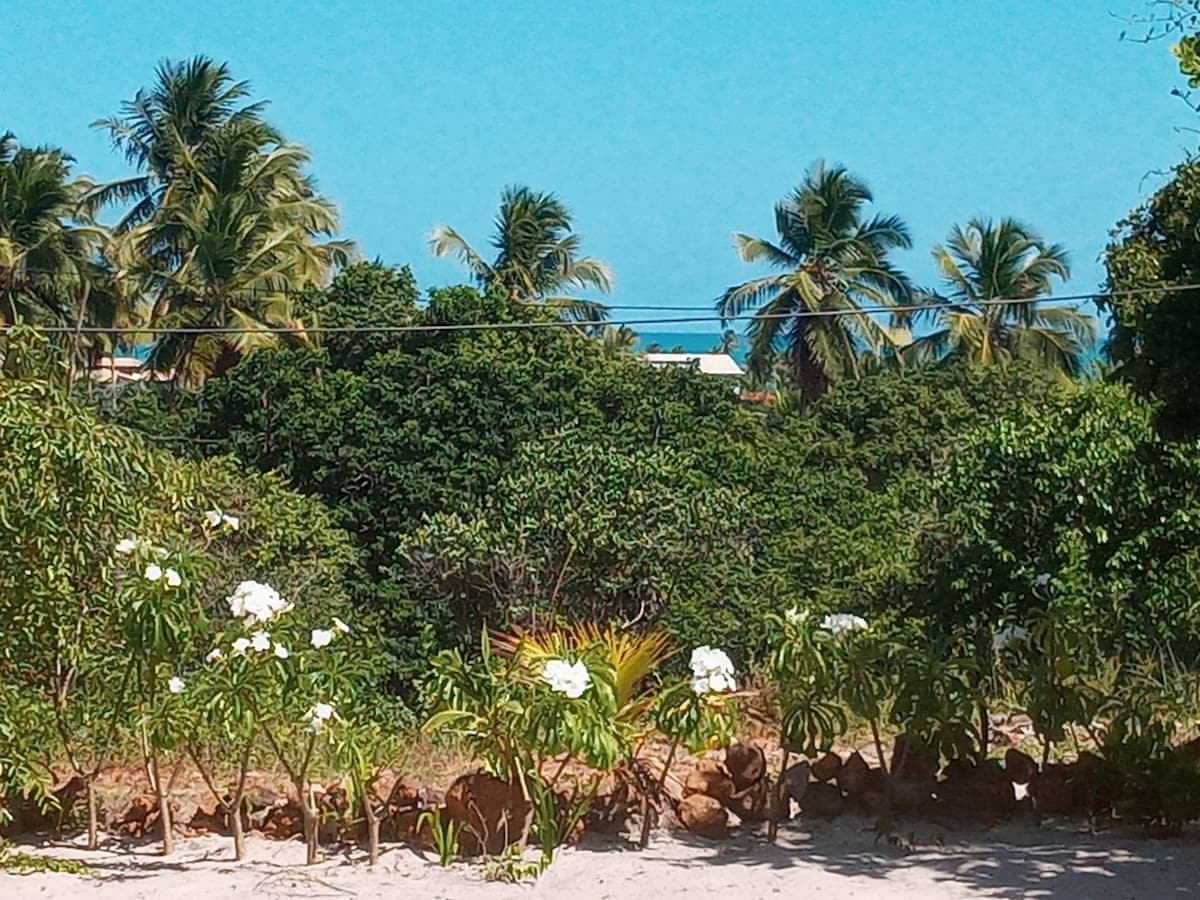Endroit simple et de bon goût au cœur d'Imbassai. - Écogîtes à louer à ...