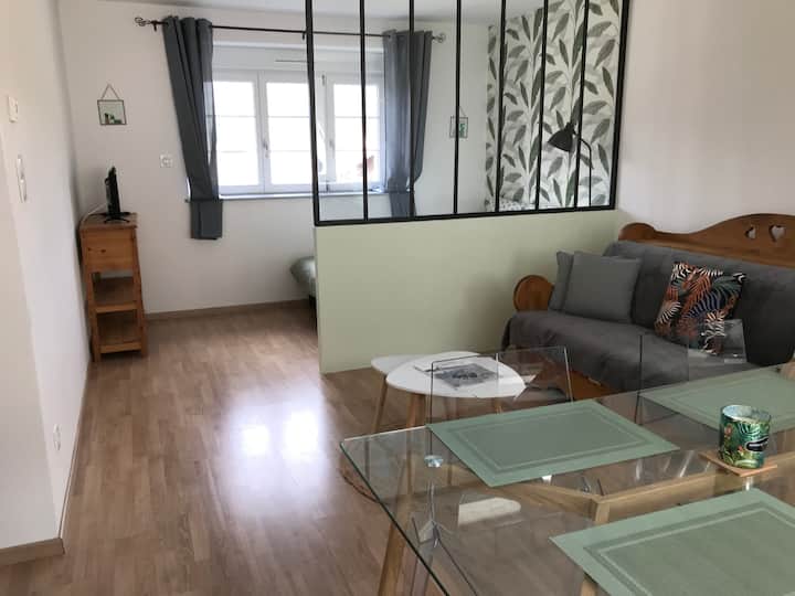 A Découvrir :  Apt Cocon Proche  Lac, Centre Ville - Lorraine
