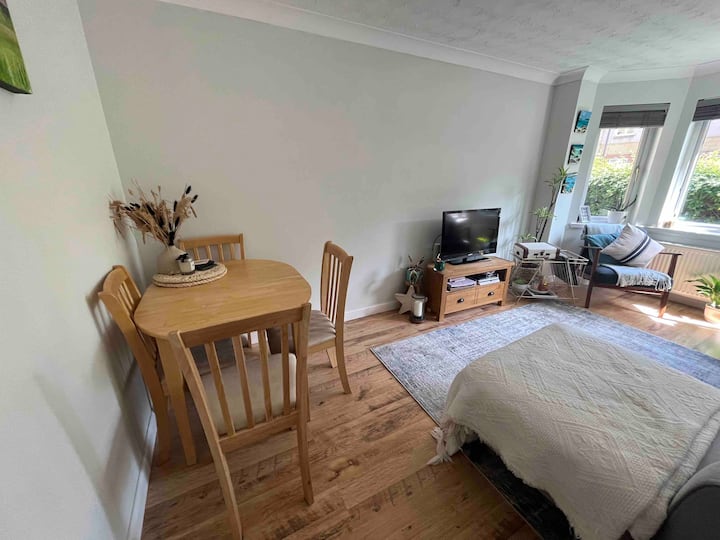 Ground Floor Flat - Haymarket - Edinburgh