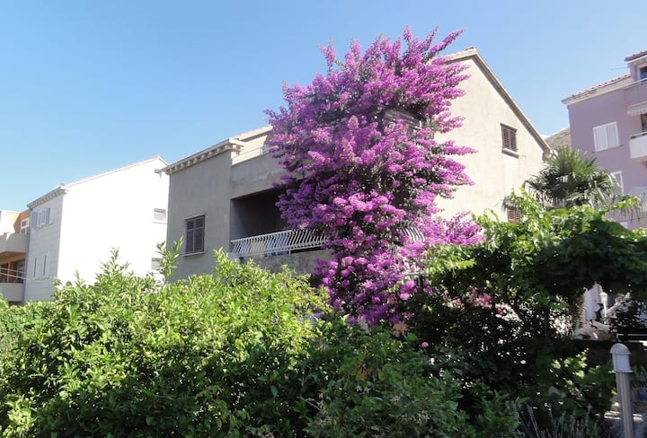 Apartment Family Fabris 2 - Dubrovnik