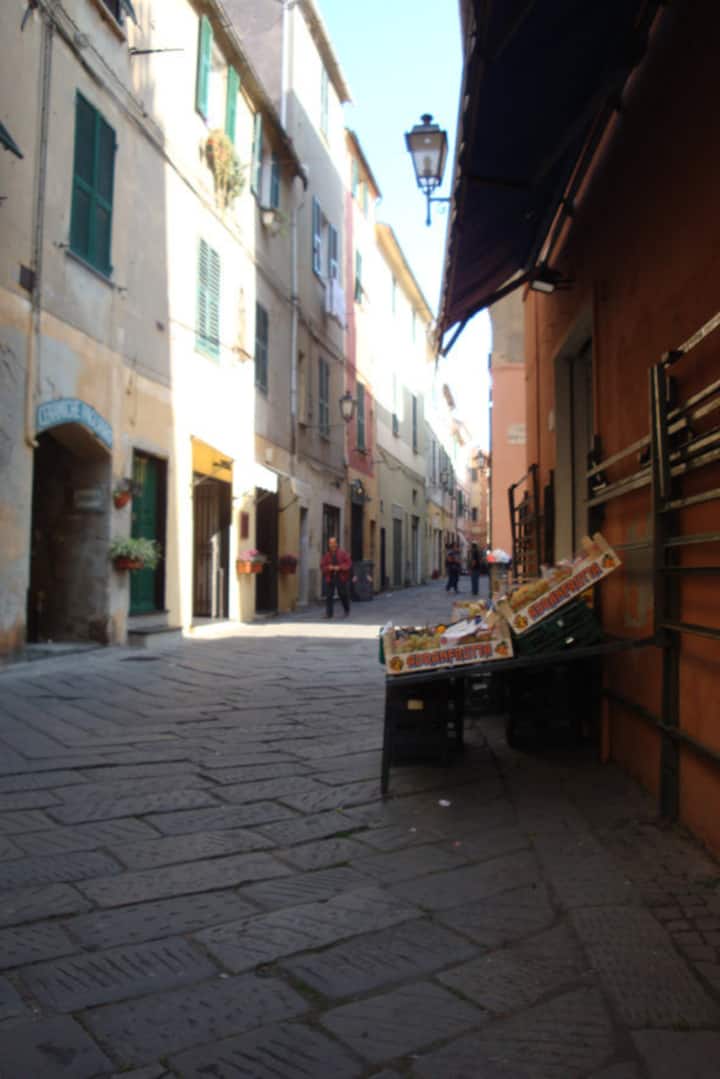 Nel Centro Storico, M.100 Dal Mare - Savona