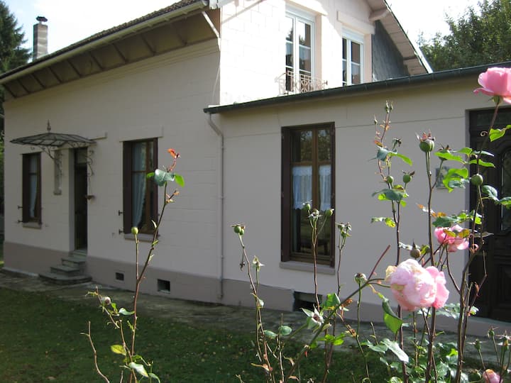 Très Beau Gite En Pleine Forêt - Revin