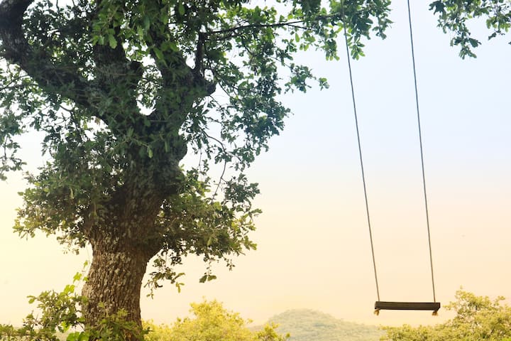 Cabaña En Bahía Del Cielo - Sayula