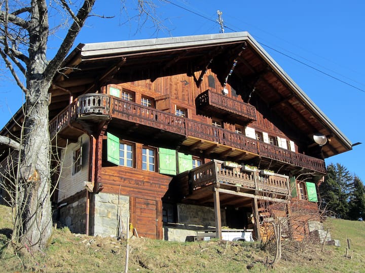 Gezellig Uniek Vakantie Chalet, Zomer En Winter, - Val-d'Illiez