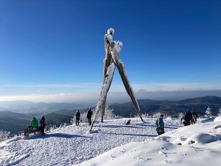 House With A View/haus Raiser - Gengenbach