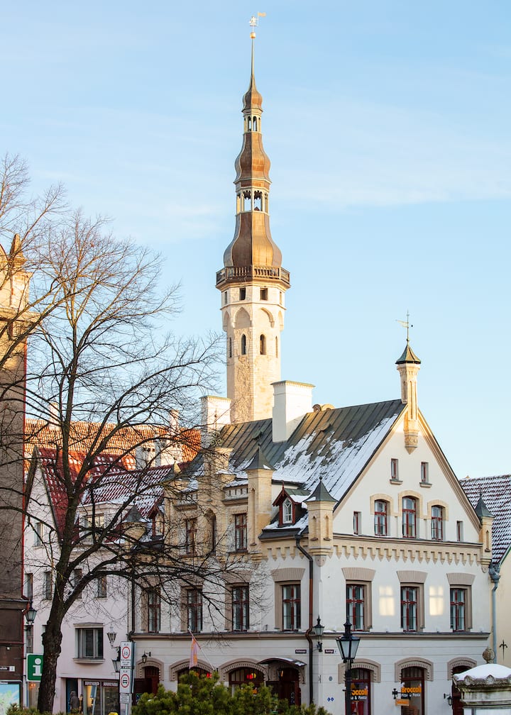 4 Br Apt In Old Town+sauna+fireplace+main Square - Estonia