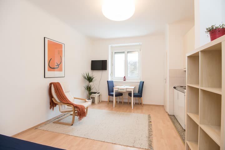 Cozy Studio In The City Centre - Vienna
