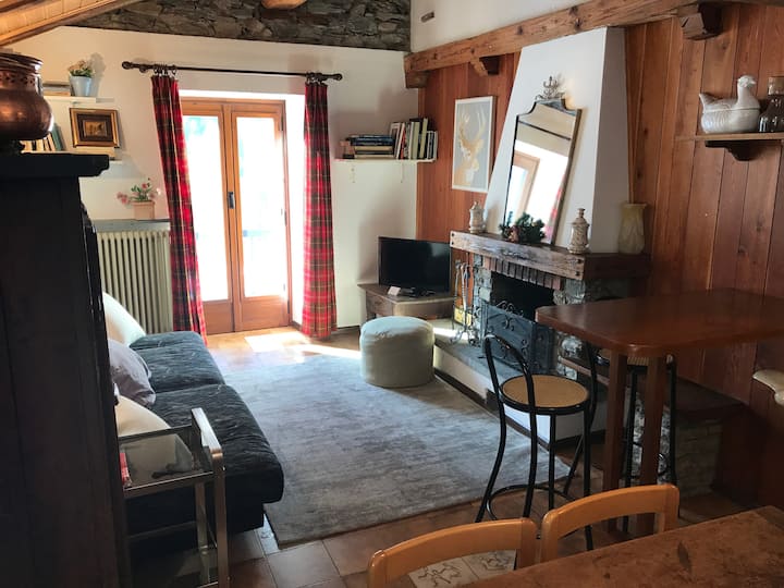 Penthouse Chalet Apt. + Garden - Courmayeur