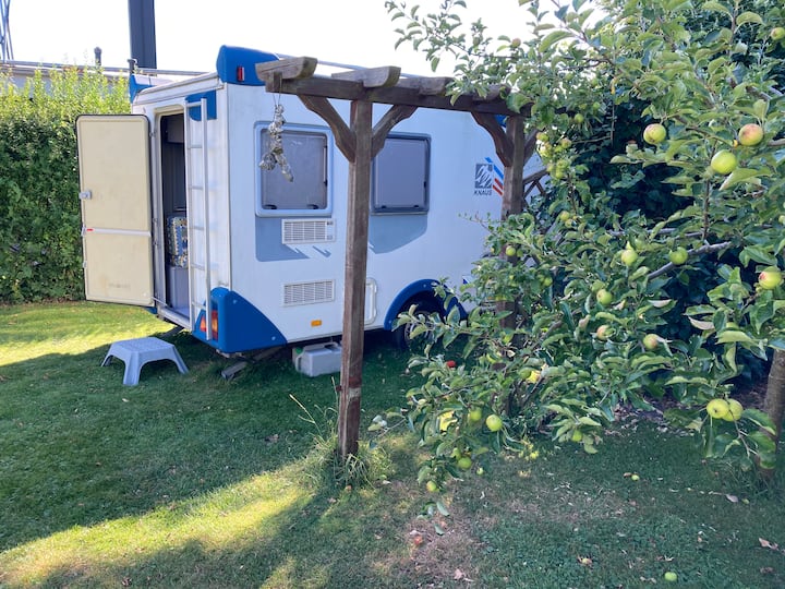 Ostseeurlaub Im Wohnwagen - Dierhagen