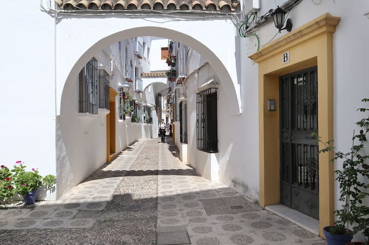 Modern Apartment In Juderia On Calle Del Indiano - Córdoba