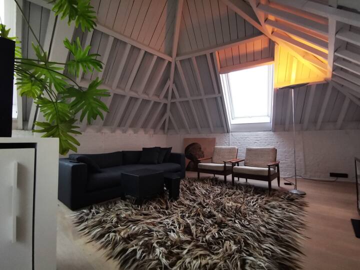 Room With Private Shower Room - Antwerpen