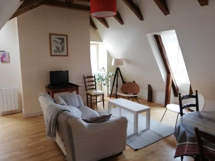 Poitiers Centre Ville Charmant Appartement 7p - Poitiers