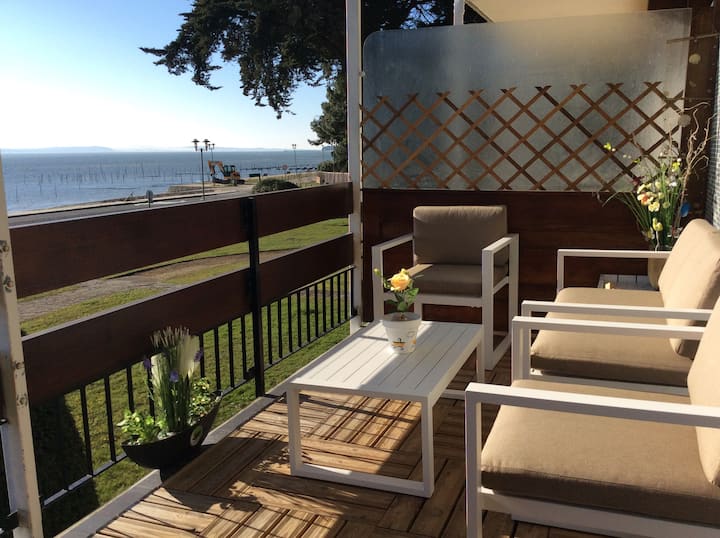 Cap Ferret, L'herbe, T2 Cabine - Cap Ferret