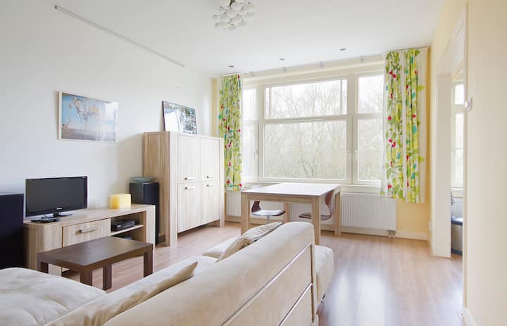 A Light Parkview Apartment Read The Ad Please ! - Ámsterdam