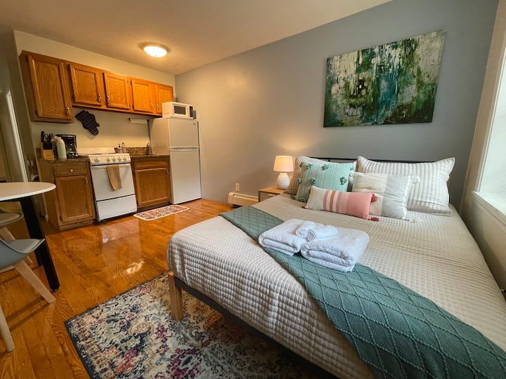 Cozy Boston Studio - Longwood/fenway - Roxbury - Boston