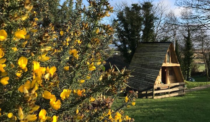 A Frame Cabin With Forest Views & An Irish Pub On An Island No Ferry Needed - Buncrana