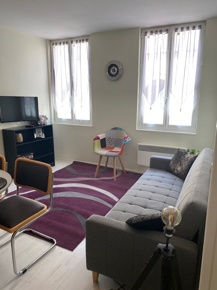 Logement N°8 Meublé (37m2), Dans Un Bel Immeuble - Rochefort, France