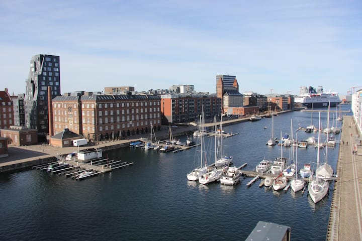 Harbour Front And With Rooftop Terrace And Balcony - Copenhagen