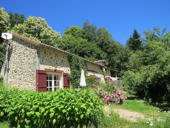 Bouleau - Haute-Vienne