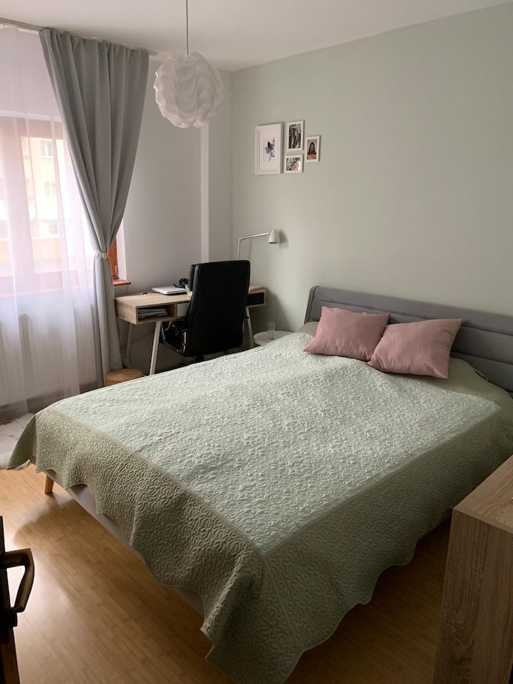 Private Dorm In Cluj-napoca With A Modern Design - Cluj-Napoca