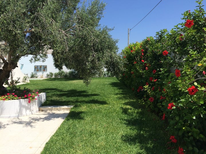 Dar Aloulou - Hammamet
