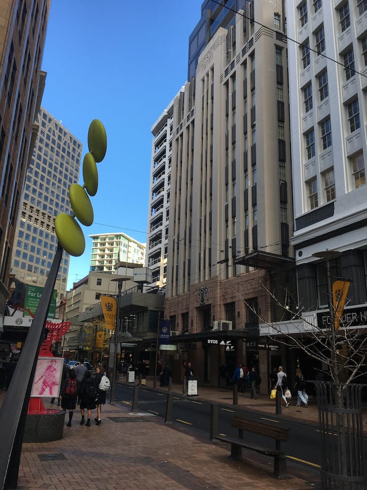 Outstanding Central Lambton Quay Apartment - Wellington