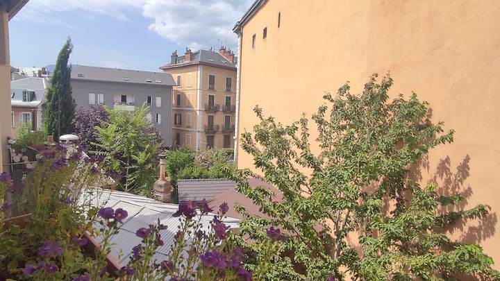 Appartement Cosy Avec Charme Historique - Chambéry