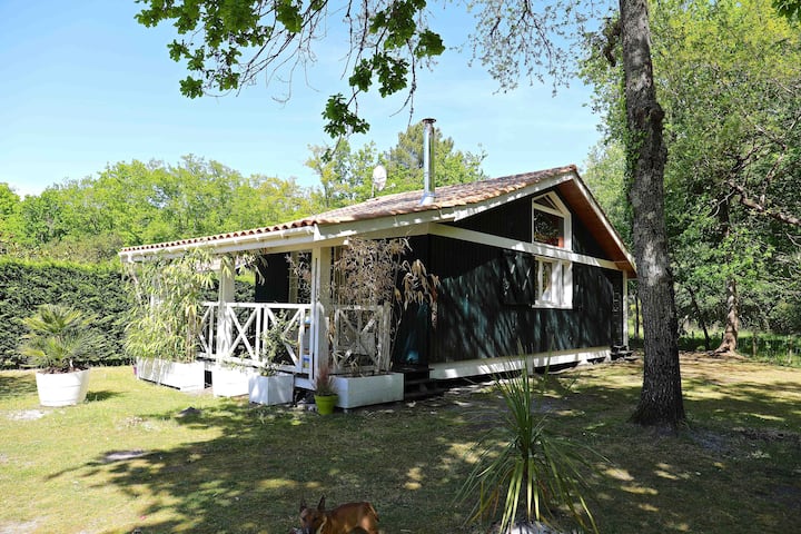 Magnifique Chalet à Lacanau. - Maubuisson
