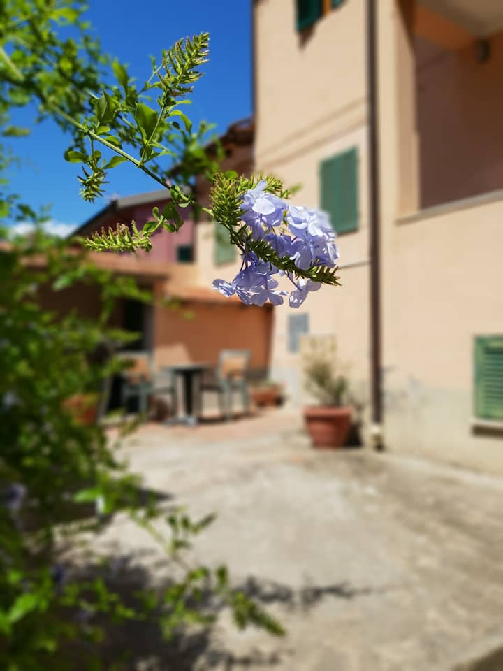 La Casa Dei Limoni - Orbetello